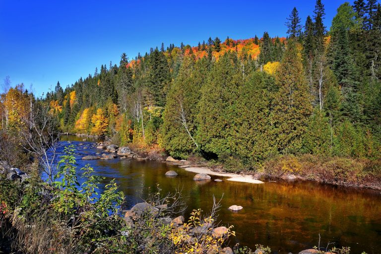 Camping in Ontario Explained: Parks, Rules, Checklists, and More
